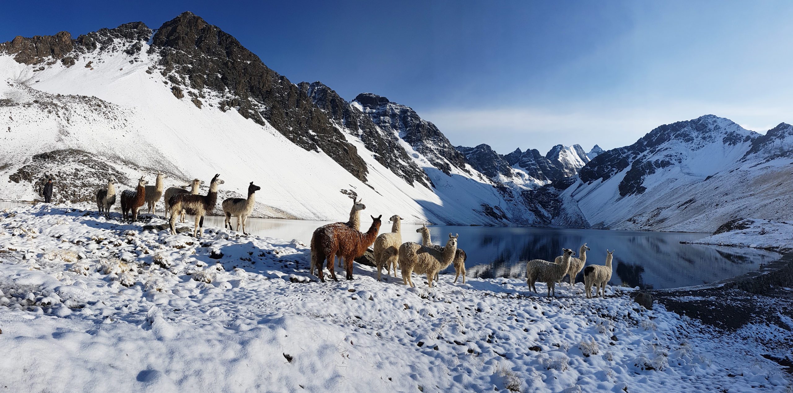 Trek Juri Khota – Huayna Potosi (4 days) – Bolivian Mountain Guides