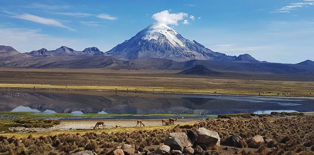 Sajama National Park Tour (3 days) - Bolivian Mountain Guides
