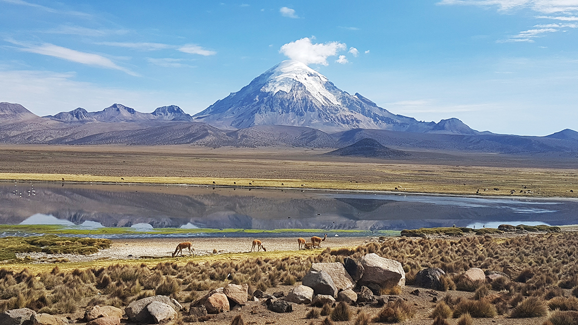 Climbing Sajama (4 days) – Bolivian Mountain Guides
